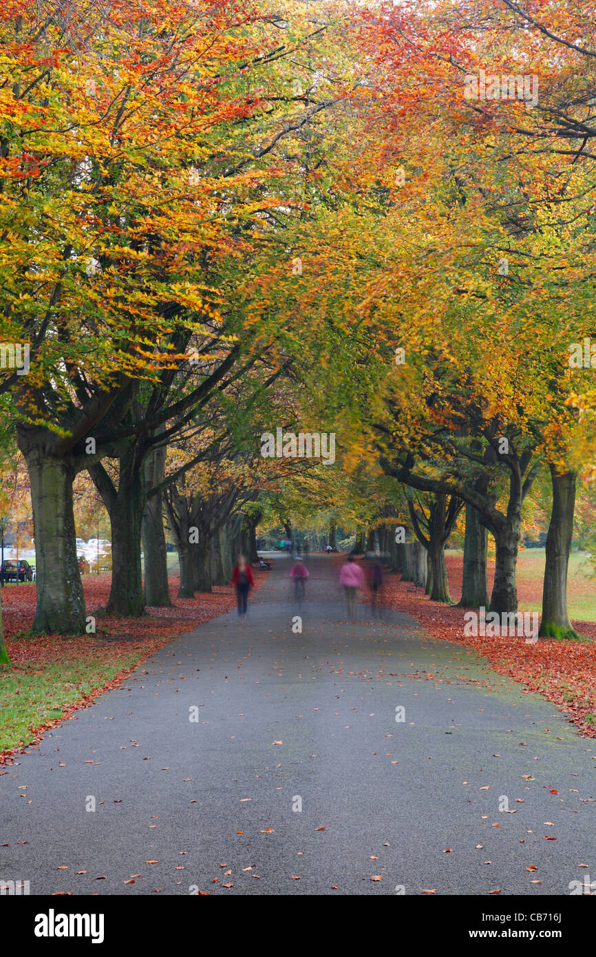 The Promenade in Autumn, Clifton. Bristol. England. UK Stock Photo - Alamy