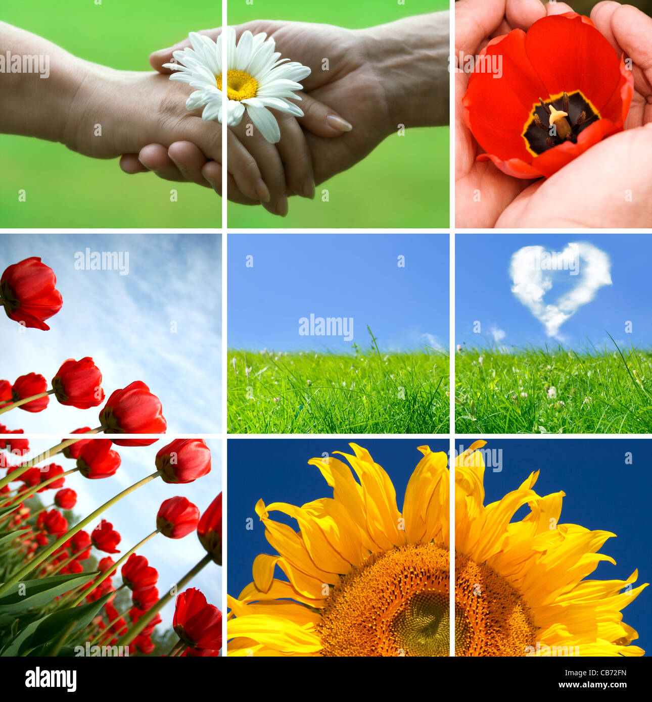 love and nature Stock Photo - Alamy