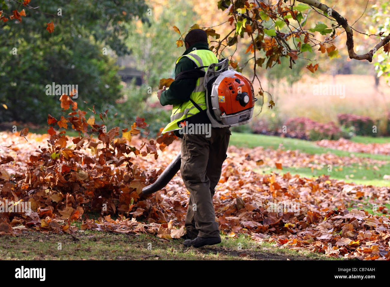 A gardener in St James's Park, London clearing leaves with a backpack ...