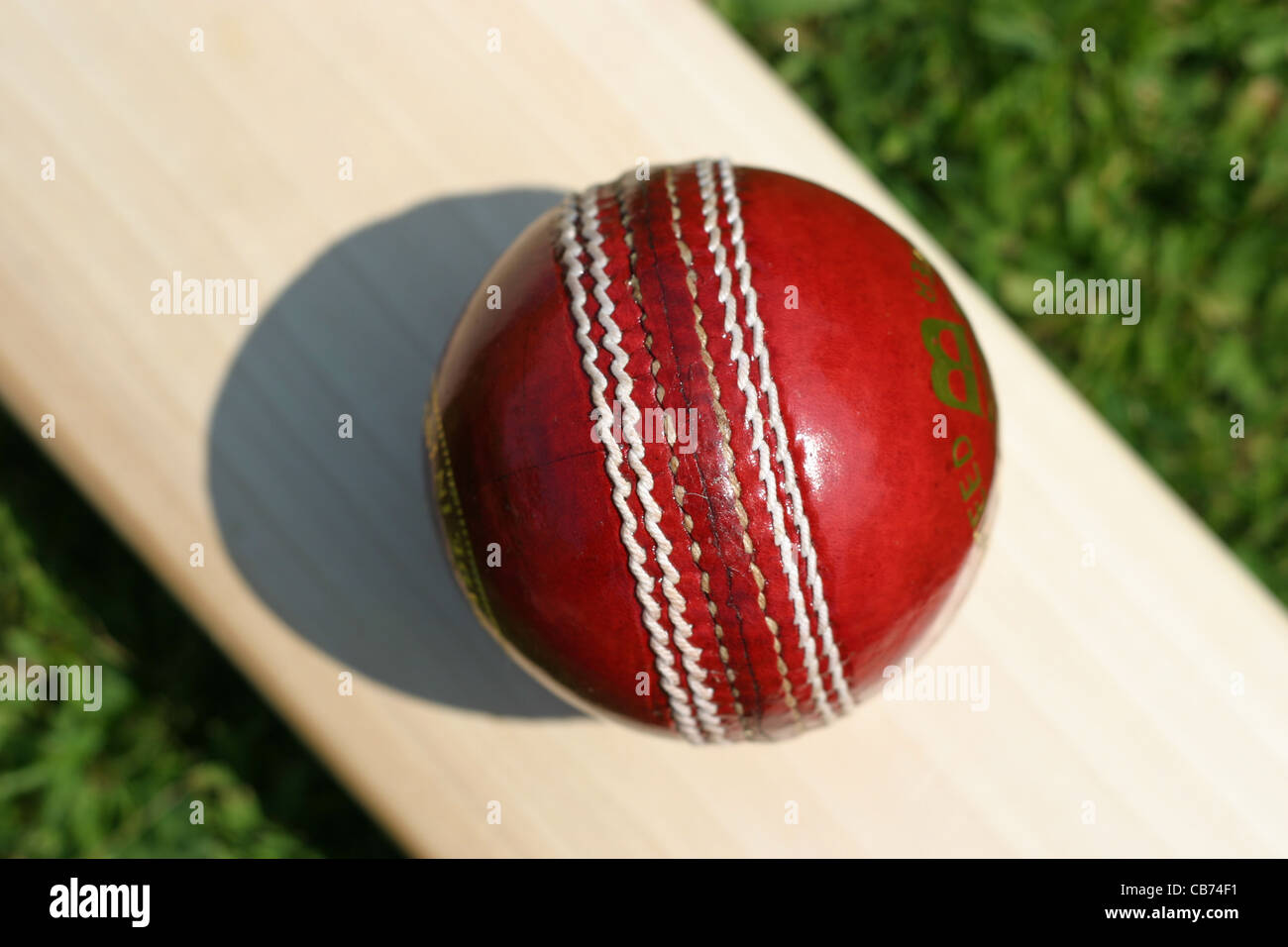 Cricket bat and ball, sports equipment close ups Stock Photo - Alamy