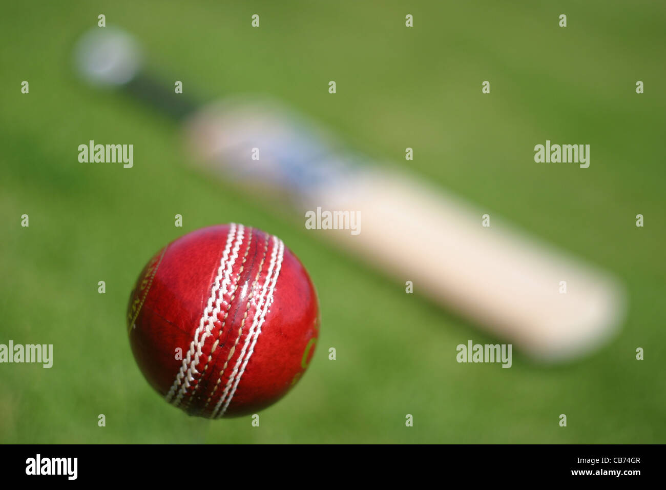 Cricket bat and ball, sports equipment close ups Stock Photo - Alamy