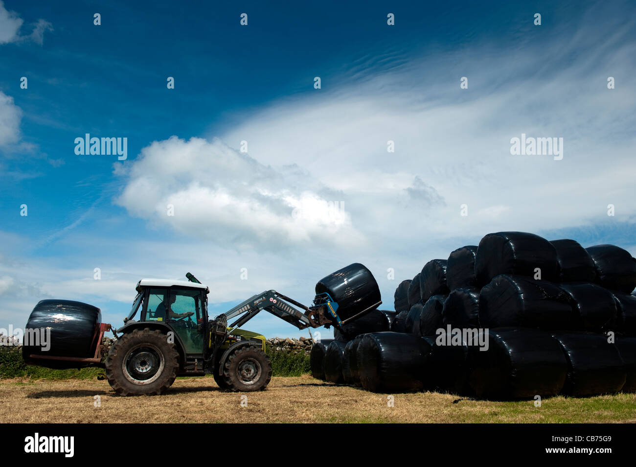 Stacking round bales of silage with Hurlimann tractor and loader Stock ...