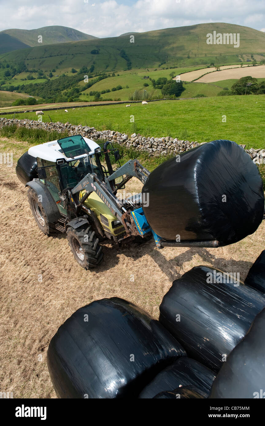 Stacking round bales of silage with Hurlimann tractor and loader Stock ...