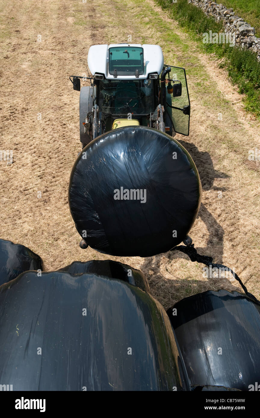 Stacking round bales of silage with Hurlimann tractor and loader Stock ...