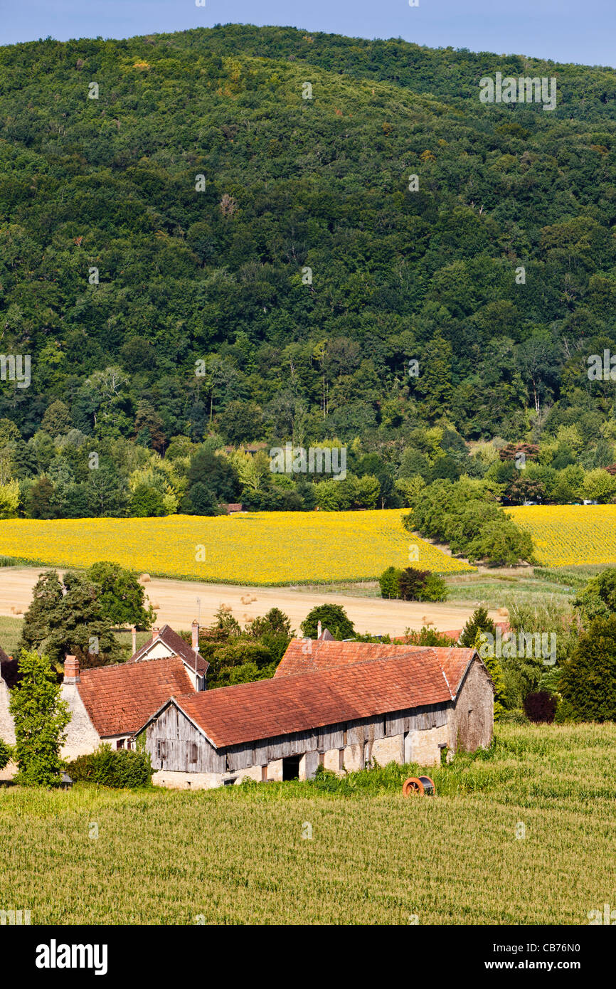 Farmhouse and barn in the Dordogne countryside, France, Europe Stock ...