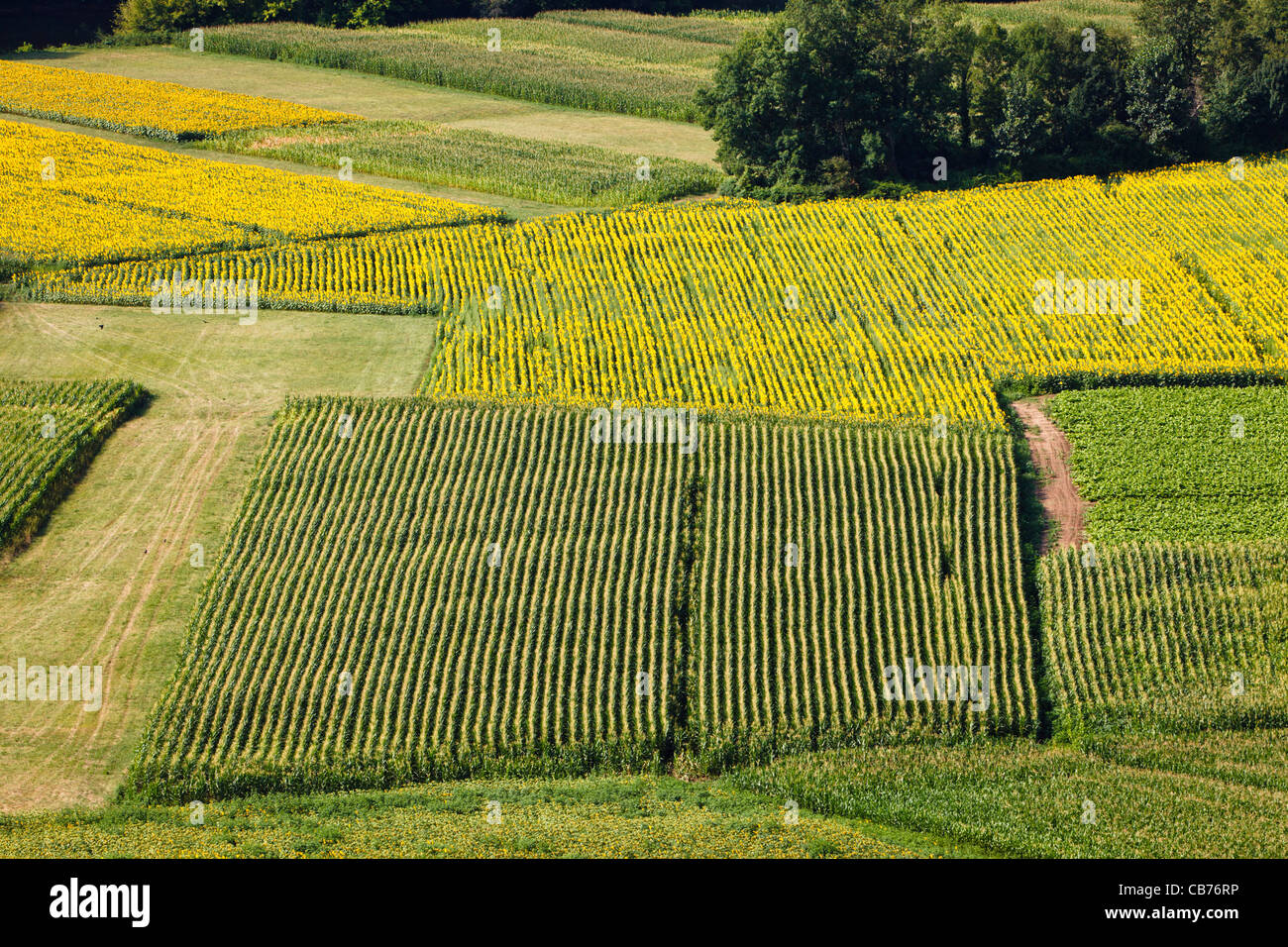 Crop fields in the Dordogne, France, Europe Stock Photo - Alamy