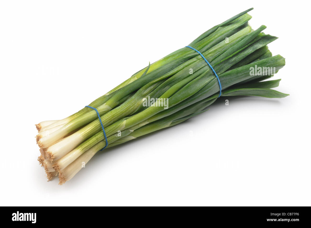 Spring onion cut out hi-res stock photography and images - Alamy