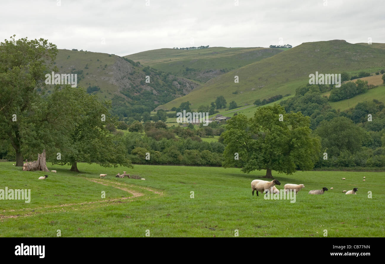 Dove valley ashbourne hi-res stock photography and images - Alamy