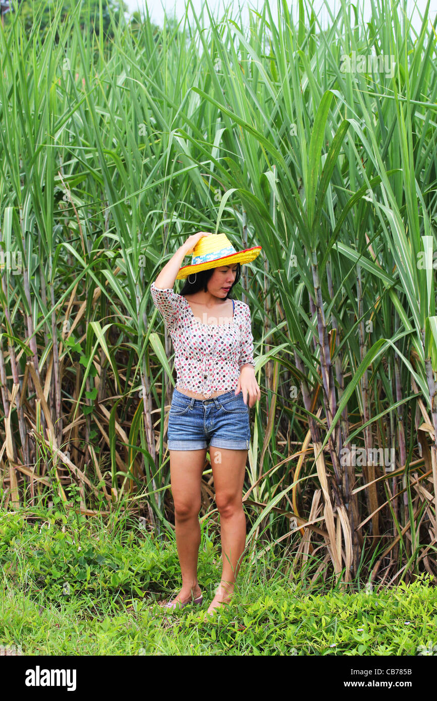 Asian woman stood next to a sugar cane field in Issan, Northeast ...