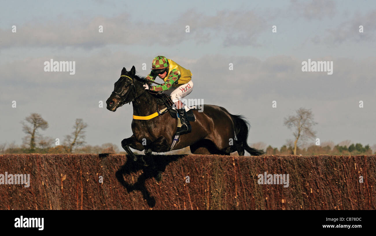 Rider pictured during point-to-point horse racing event over jumps ...