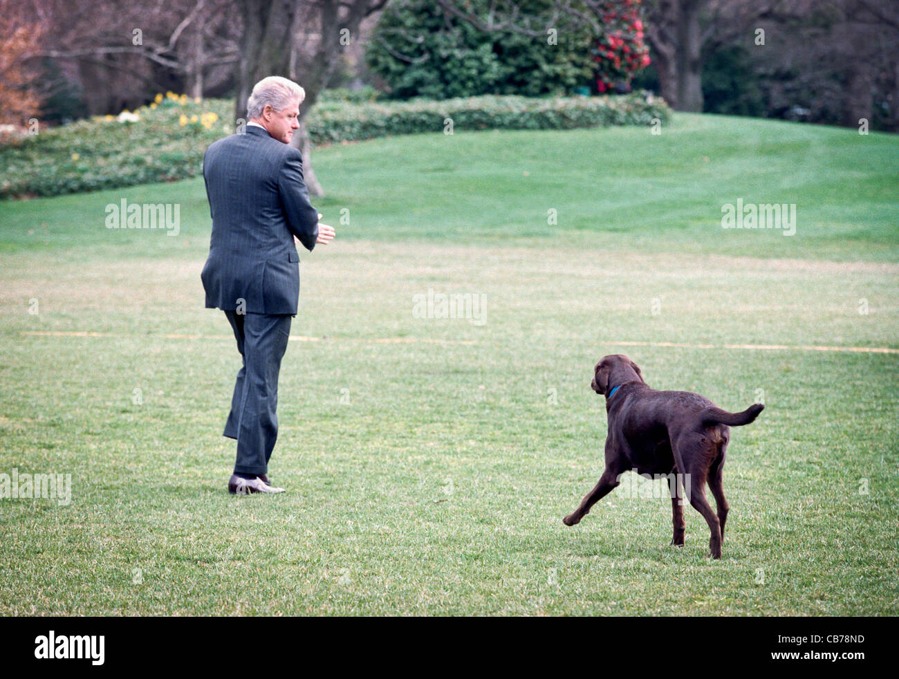 Bill clinton walking buddy the dog hi-res stock photography and images ...