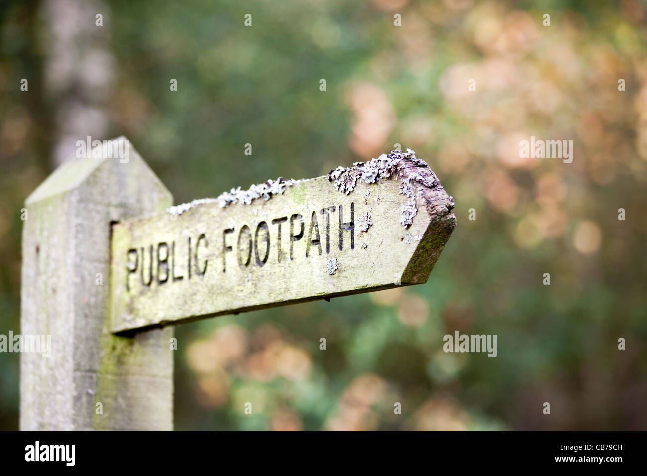 Traditional wooden finger post pointing to public footpath, with lichen ...