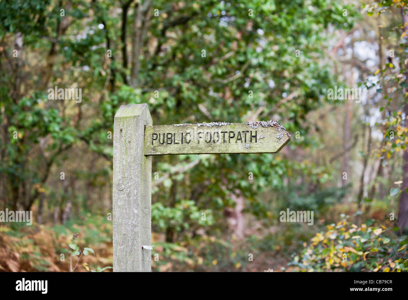 Traditional wooden finger post pointing to public footpath, with lichen ...