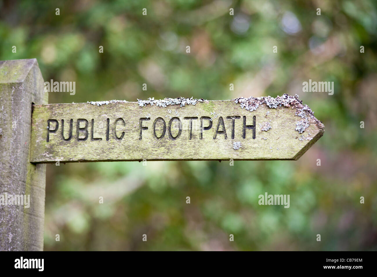 Traditional wooden finger post pointing to public footpath, with lichen ...
