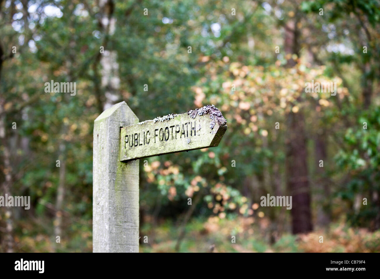 Traditional wooden finger post pointing to public footpath, with lichen ...