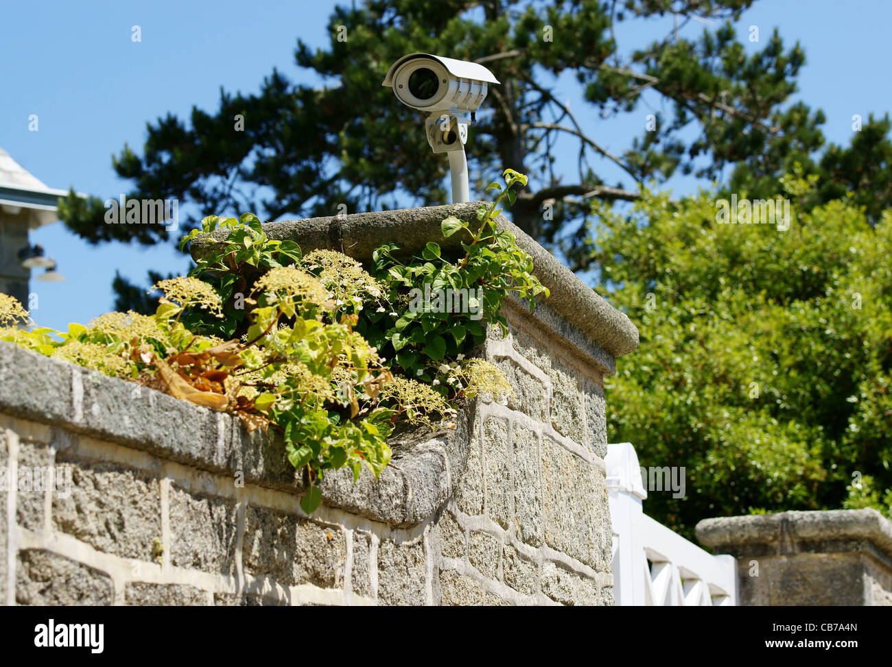 Witness Protection Stock Photos & Witness Protection Stock Images - Alamy