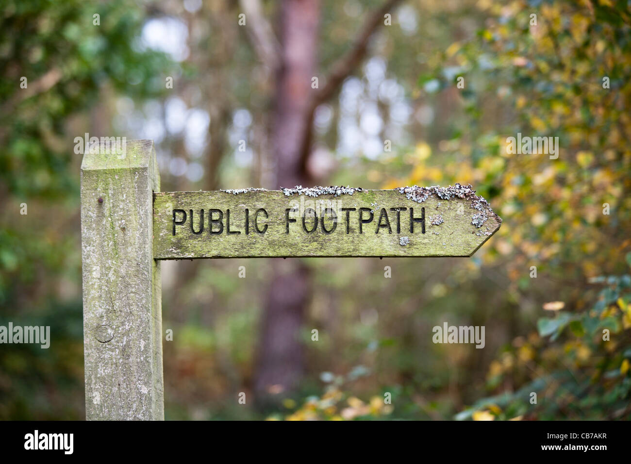 Traditional wooden finger post pointing to public footpath, with lichen ...