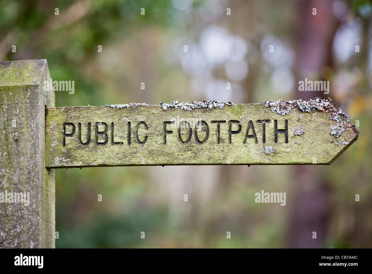 Traditional wooden finger post pointing to public footpath, with lichen ...
