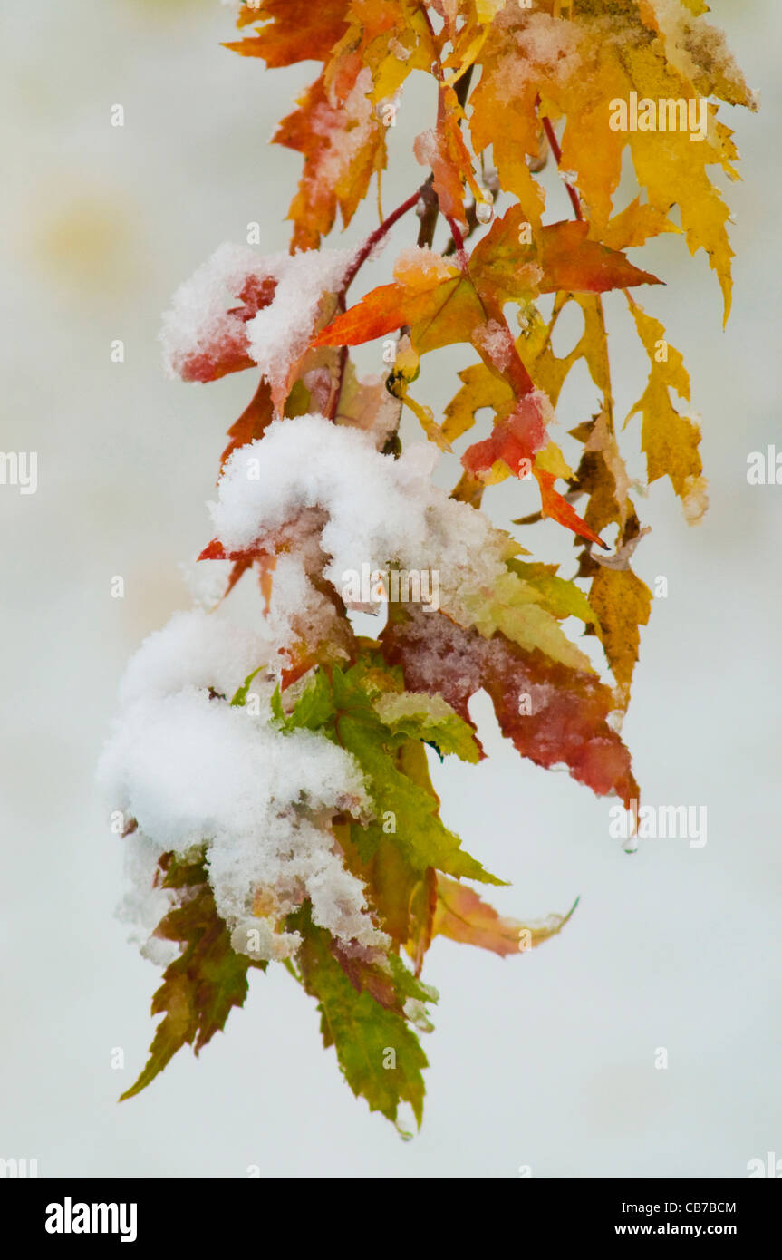 Anomaly hi-res stock photography and images - Alamy