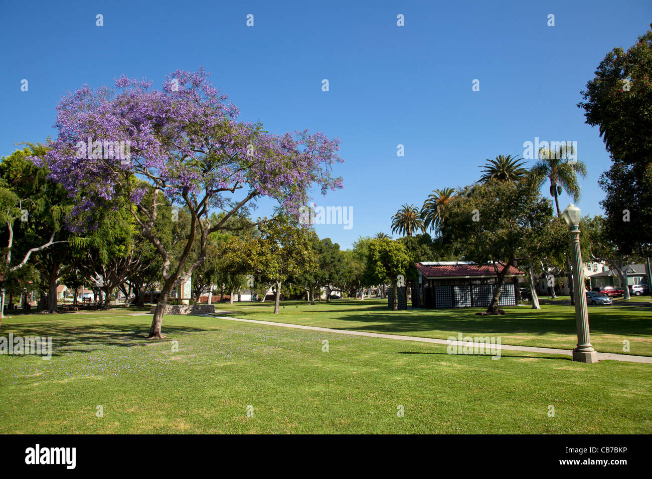 Southern carlson hi-res stock photography and images - Alamy
