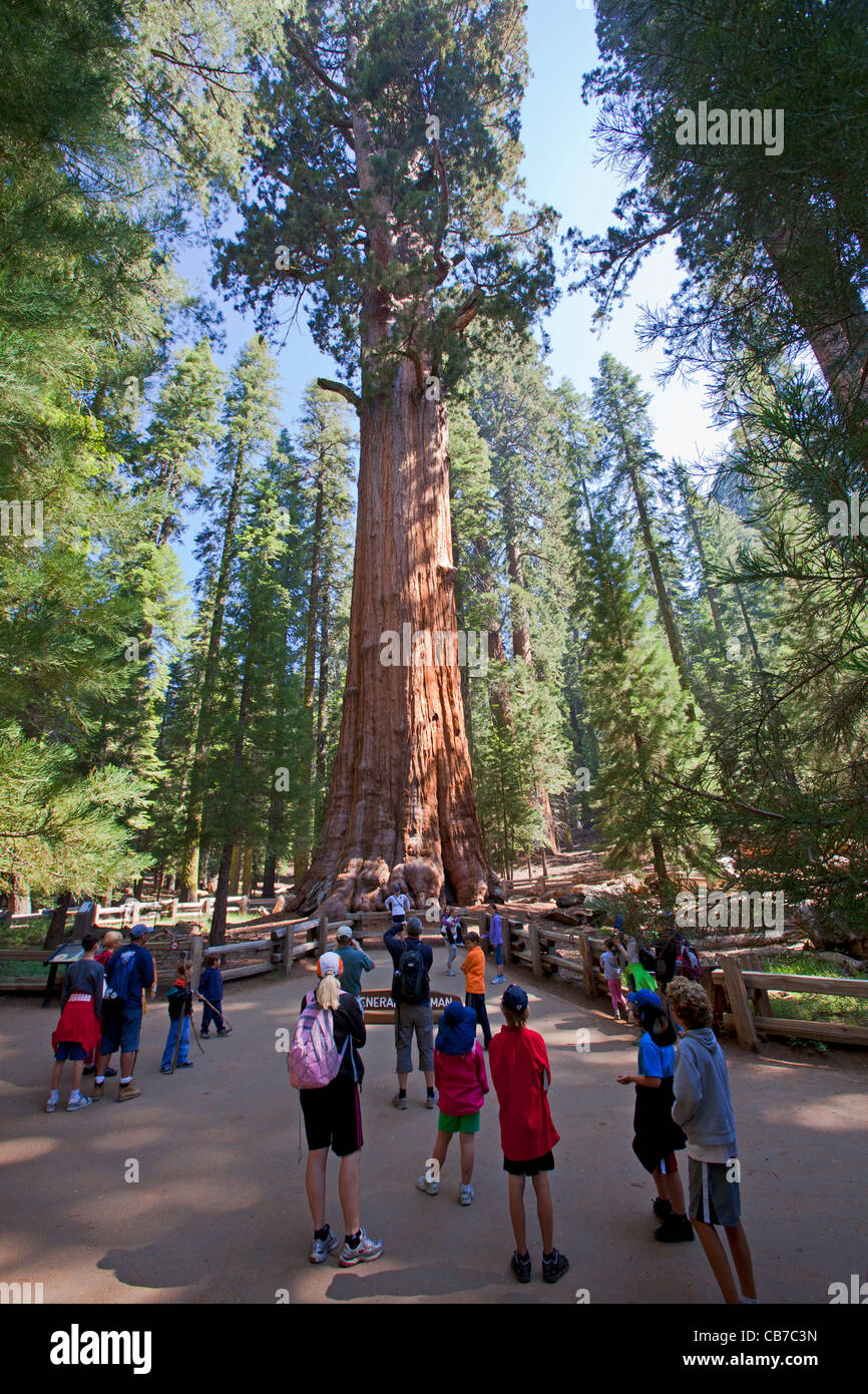 Sequoia National Park California Hi res Stock Photography And Images