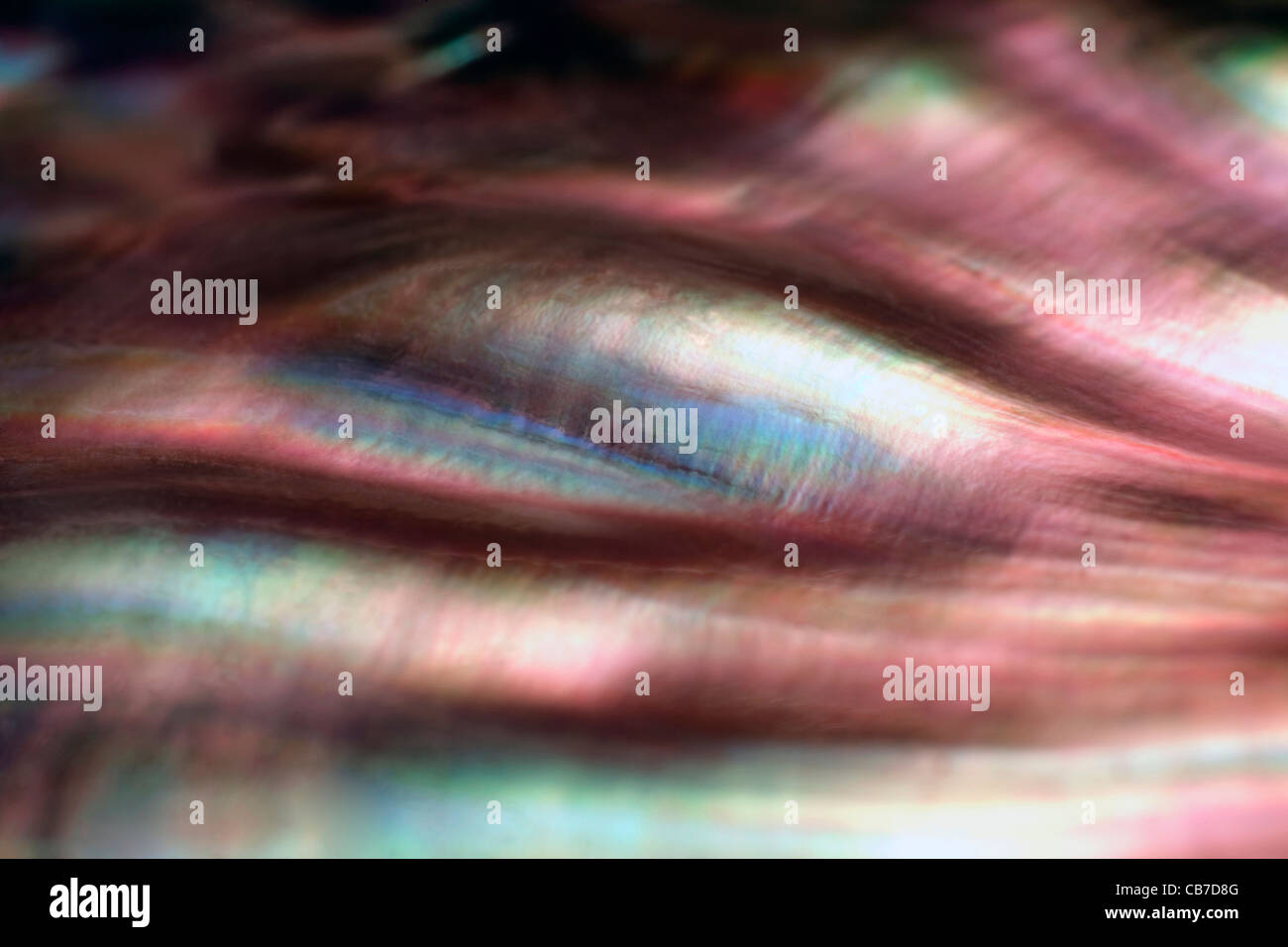 full frame abstract background showing the multicolored nacre sideof a ...