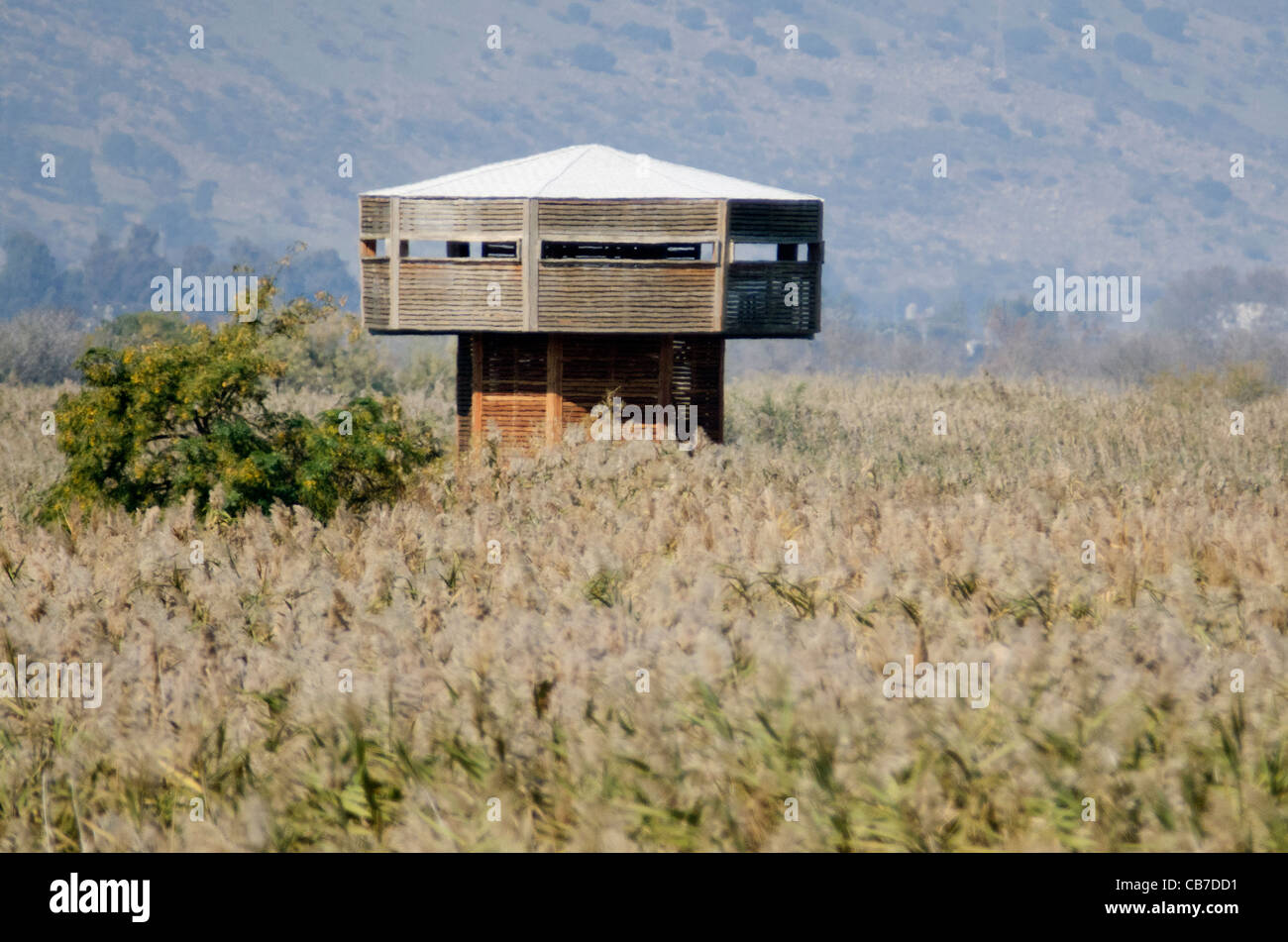 To An Watching Tower High Resolution Stock Photography and Images - Alamy