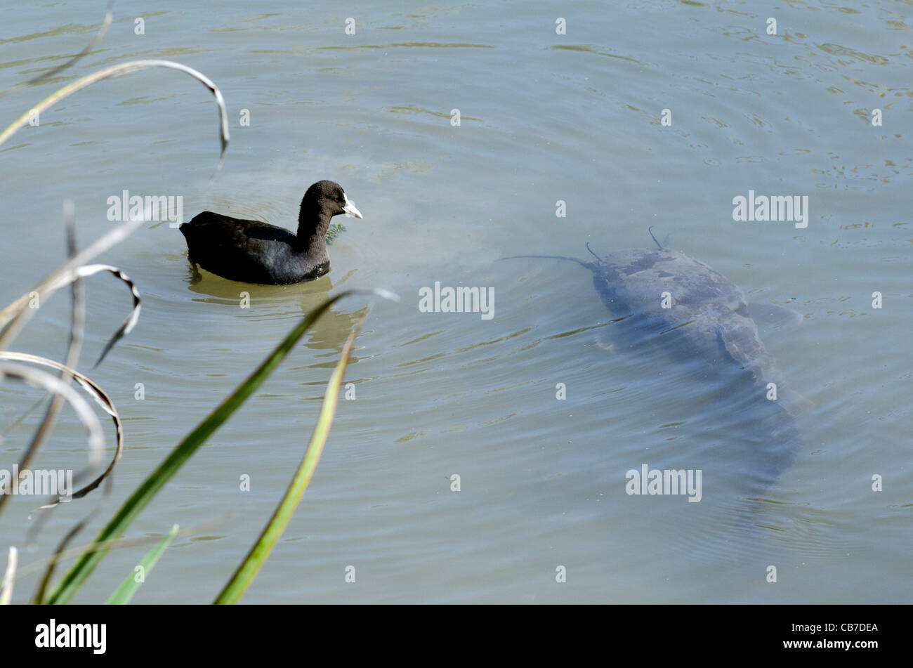 Forehead Outside High Resolution Stock Photography and Images - Alamy