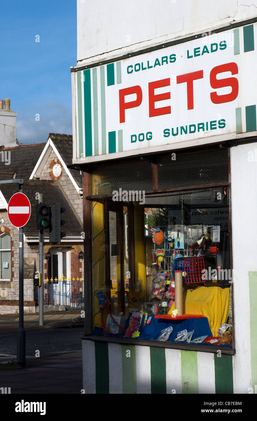 Pet shop window hi-res stock photography and images - Alamy