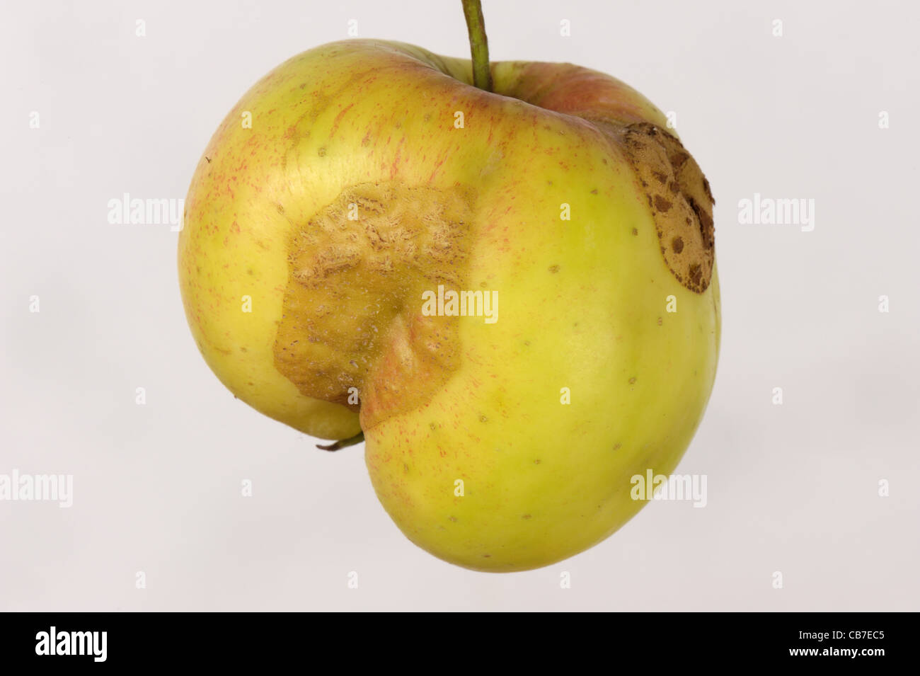 Residual scar hi-res stock photography and images - Alamy