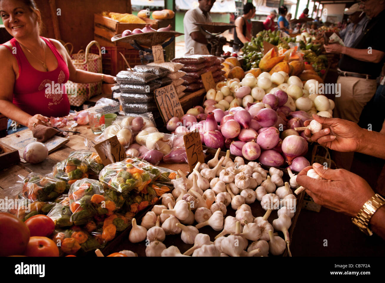 An "Agricola" grocery market in Havana (La Habana), Cuba Stock Photo ...