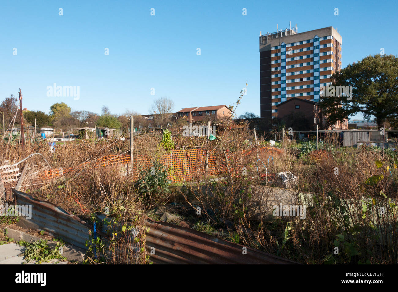 Allotments in a South London residential area Stock Photo - Alamy