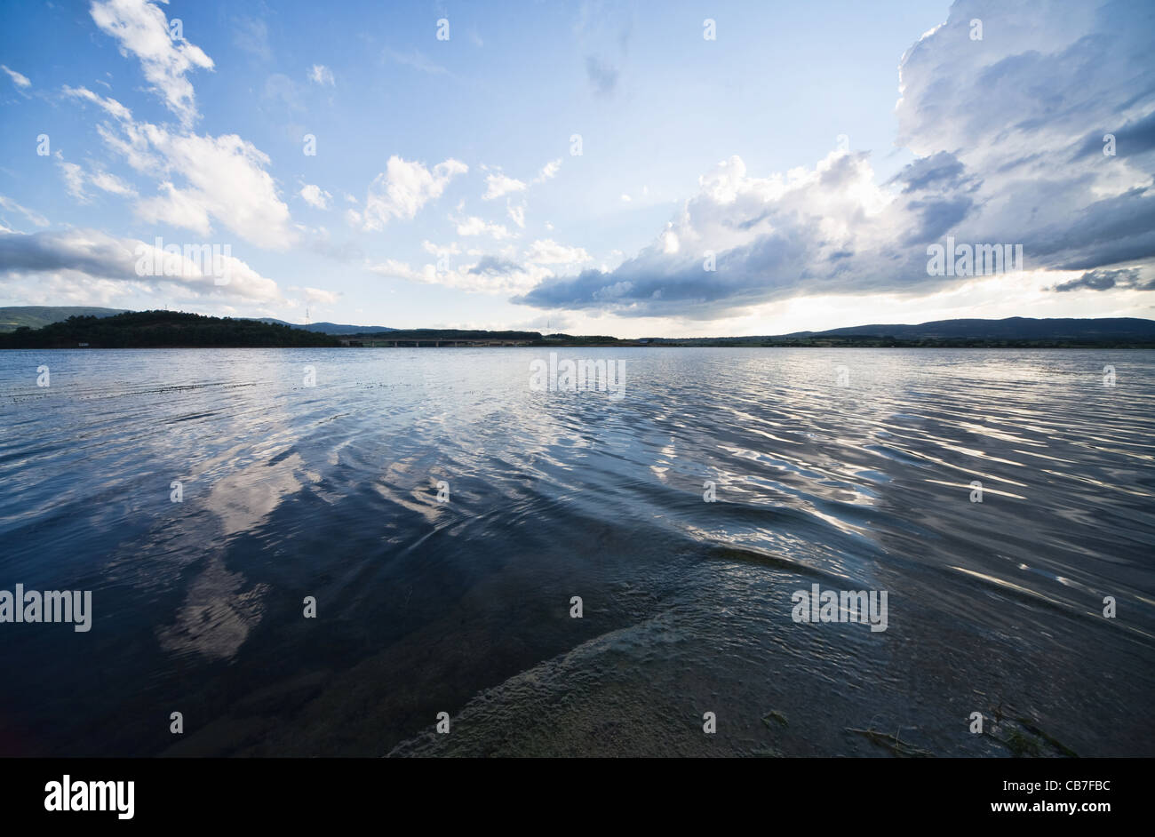 beautiful, calm, environment, flow, forest, fresh, grass, green ...