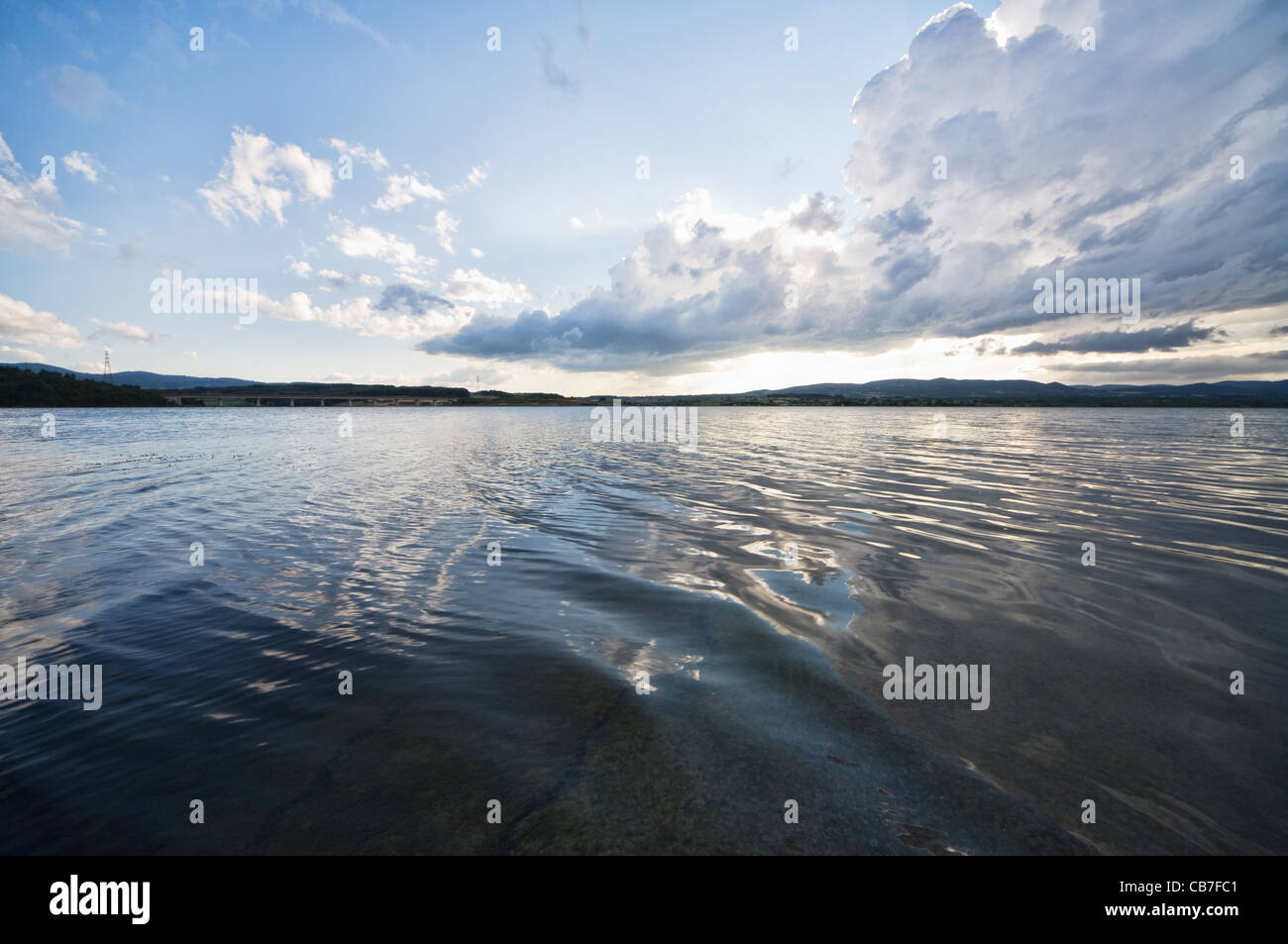 beautiful, calm, environment, flow, forest, fresh, grass, green ...