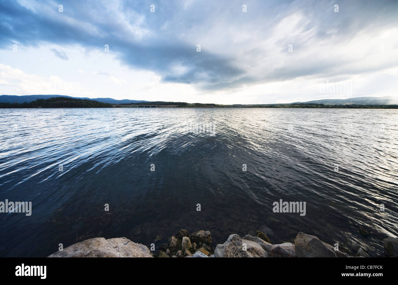 beautiful, calm, environment, flow, forest, fresh, grass, green ...