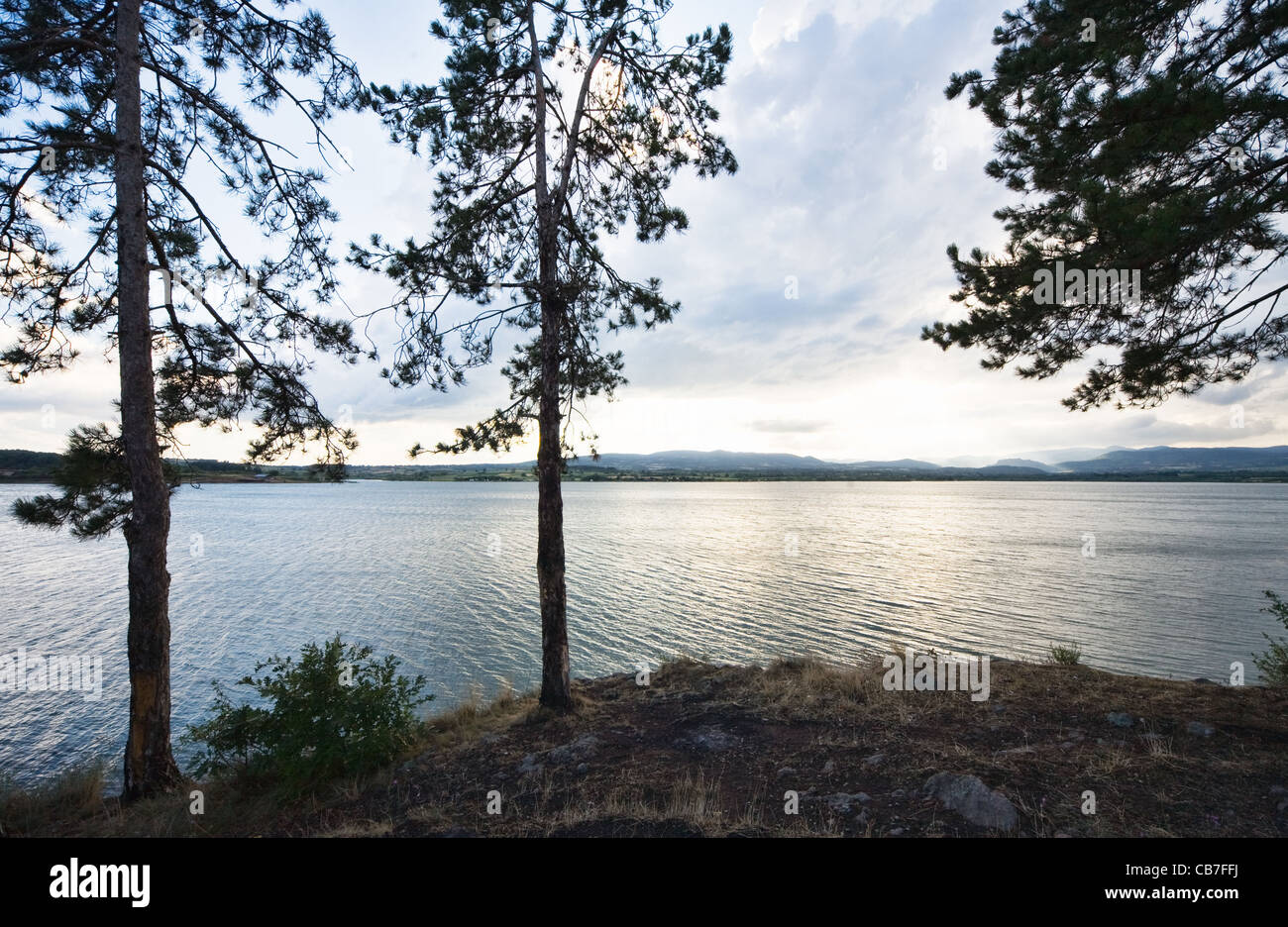 beautiful, calm, environment, flow, forest, fresh, grass, green ...