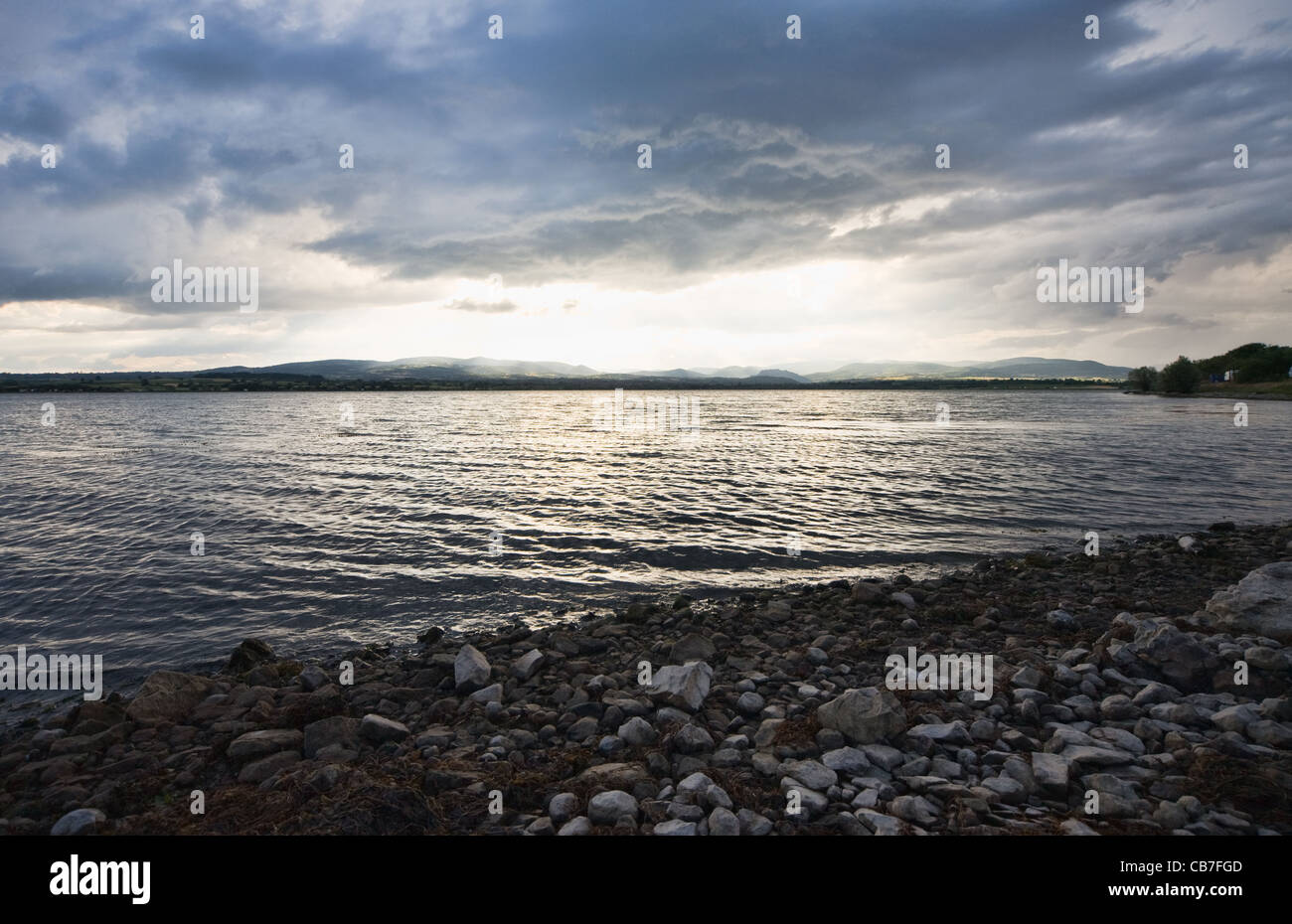 beautiful, calm, environment, flow, forest, fresh, grass, green ...