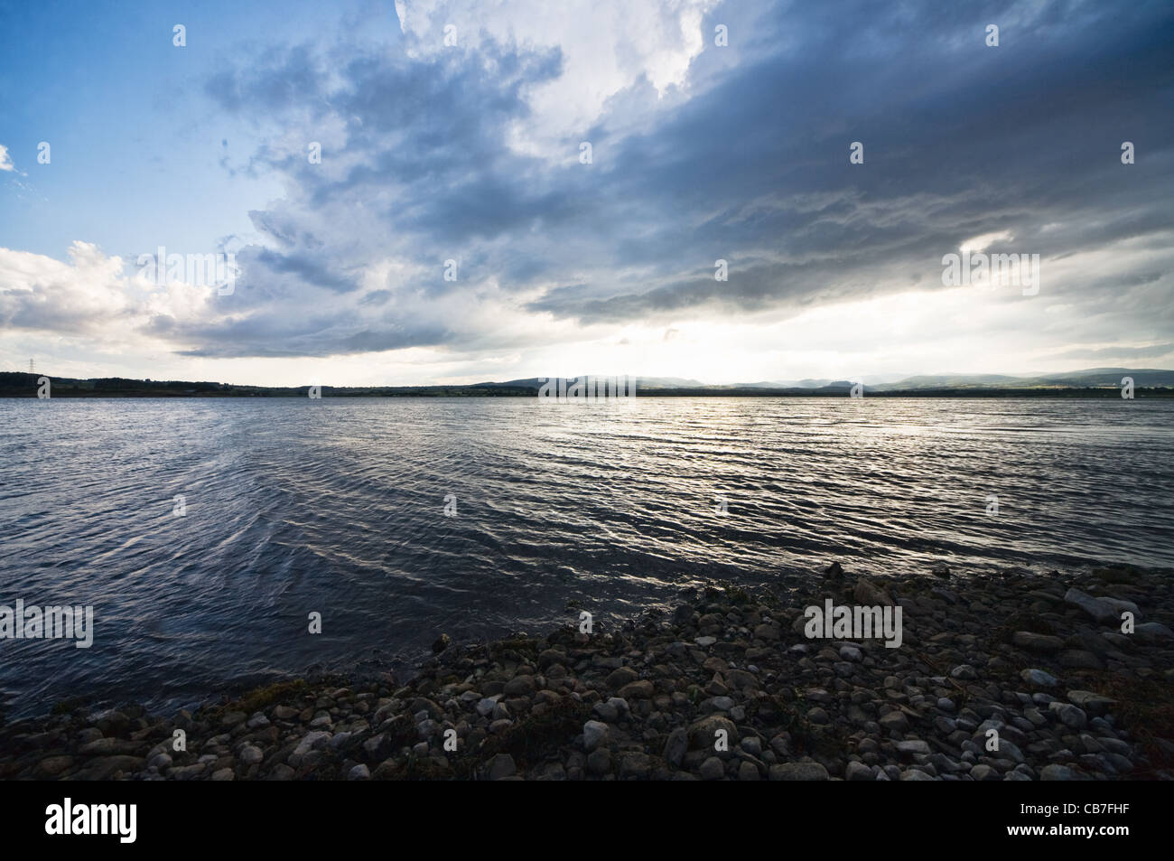 beautiful, calm, environment, flow, forest, fresh, grass, green ...