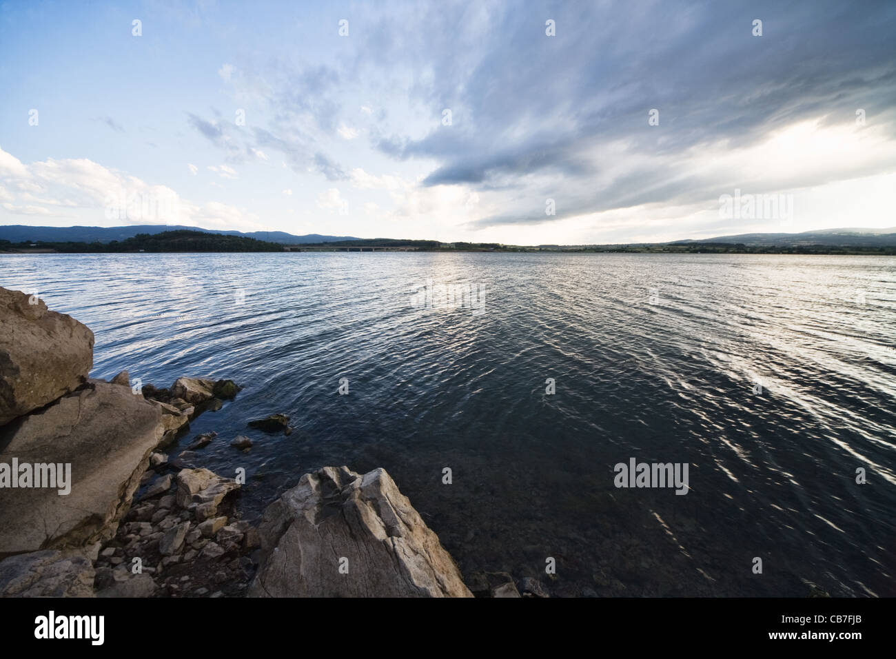 beautiful, calm, environment, flow, forest, fresh, grass, green ...