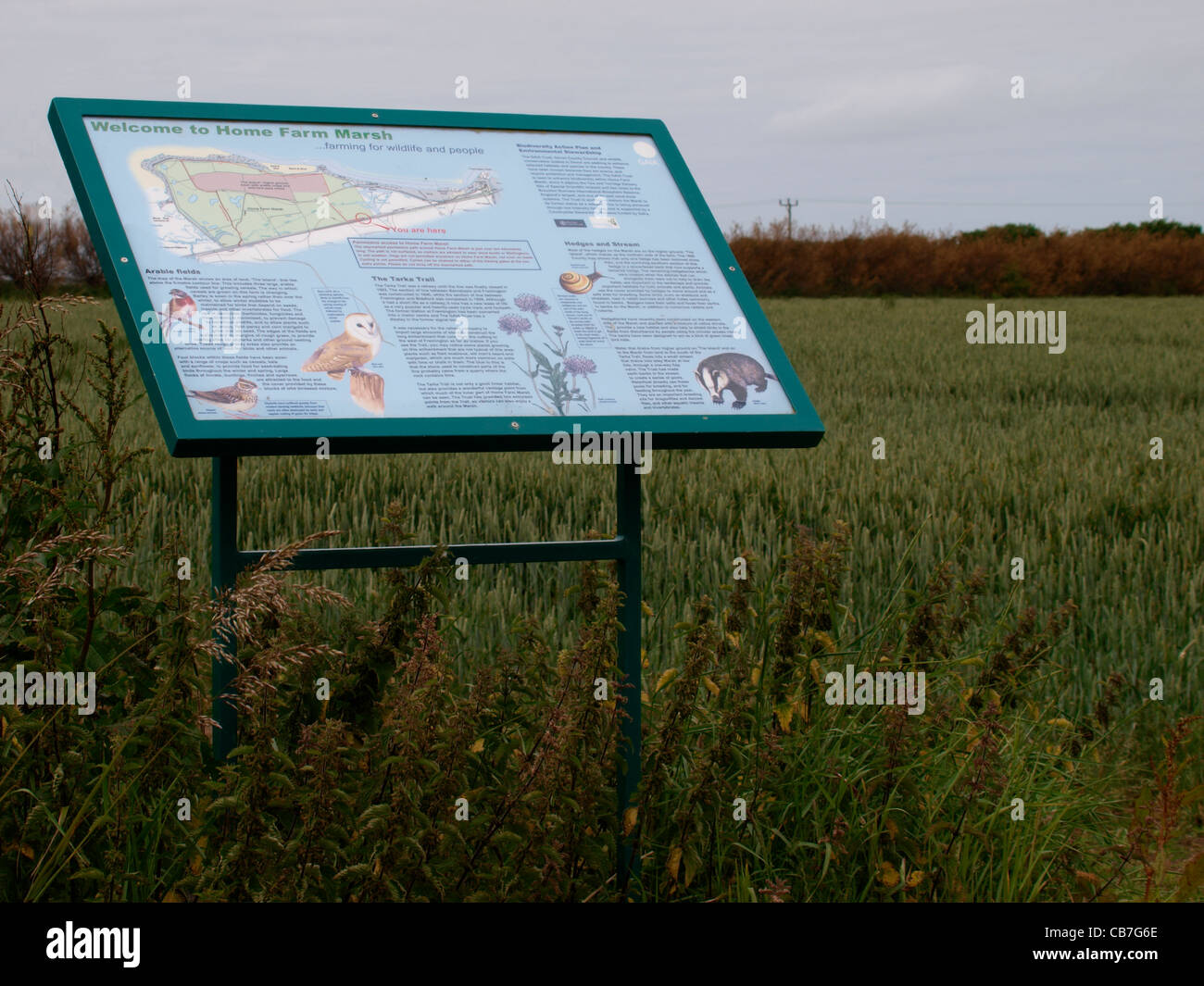Information sign for walking around Home Farm Marsh along the Tarka ...