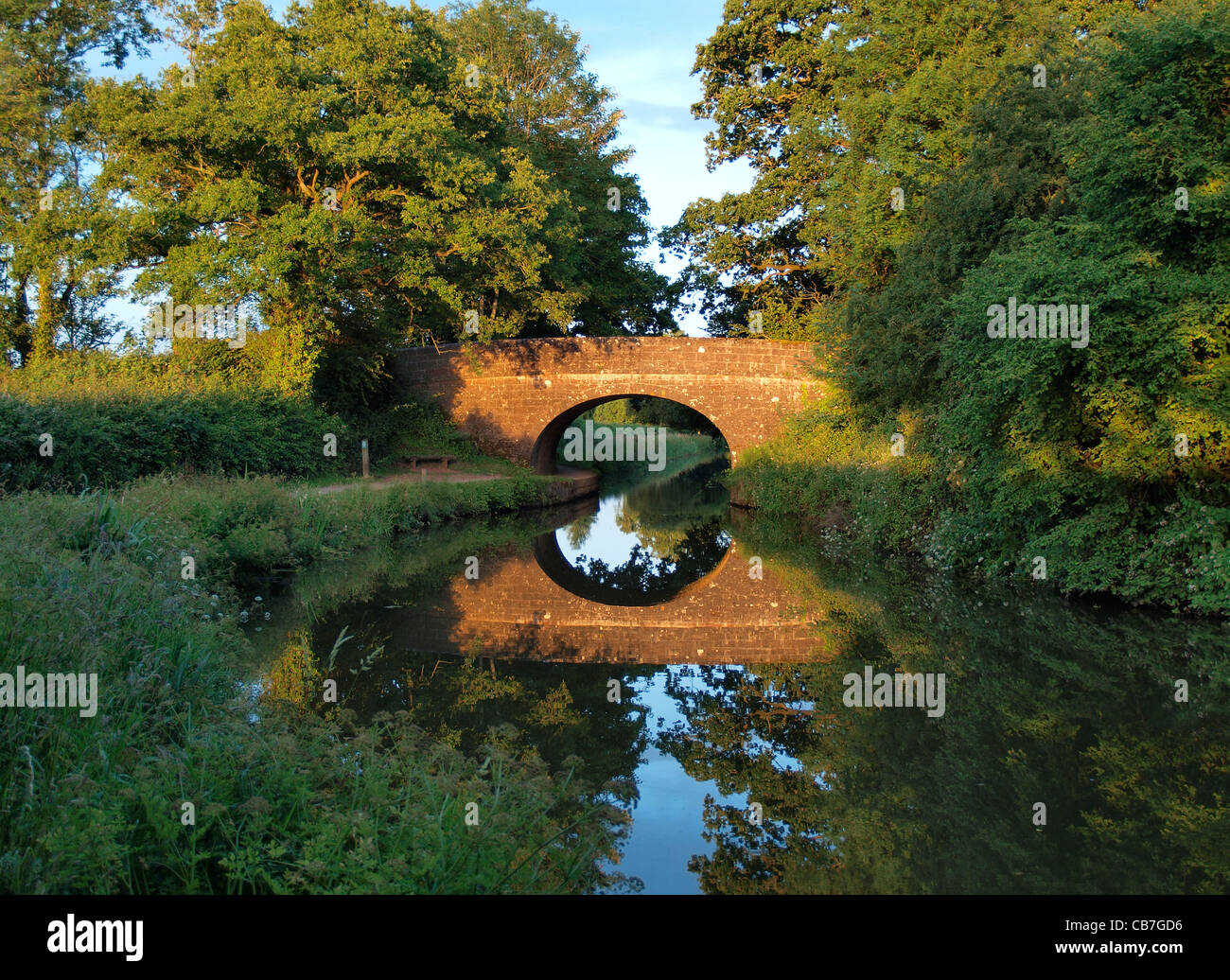 Bridge over the Great Western Canal, Tiverton, Devon, UK Stock Photo ...