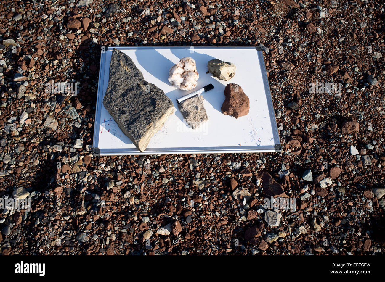 Green and red mudstone, gypsum, limestone and shale samples from the ...