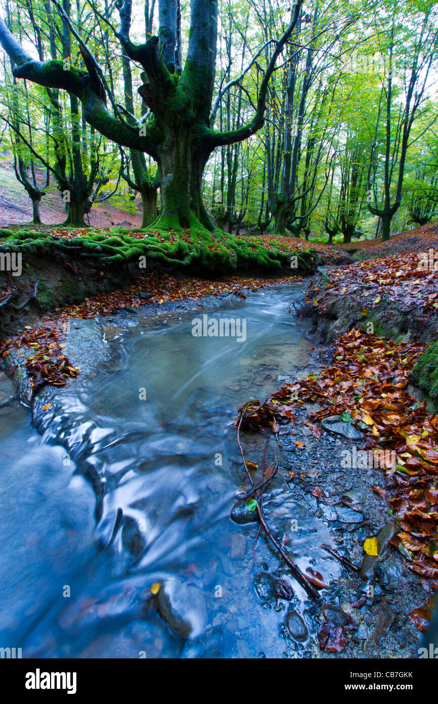 Barazar hi-res stock photography and images - Alamy