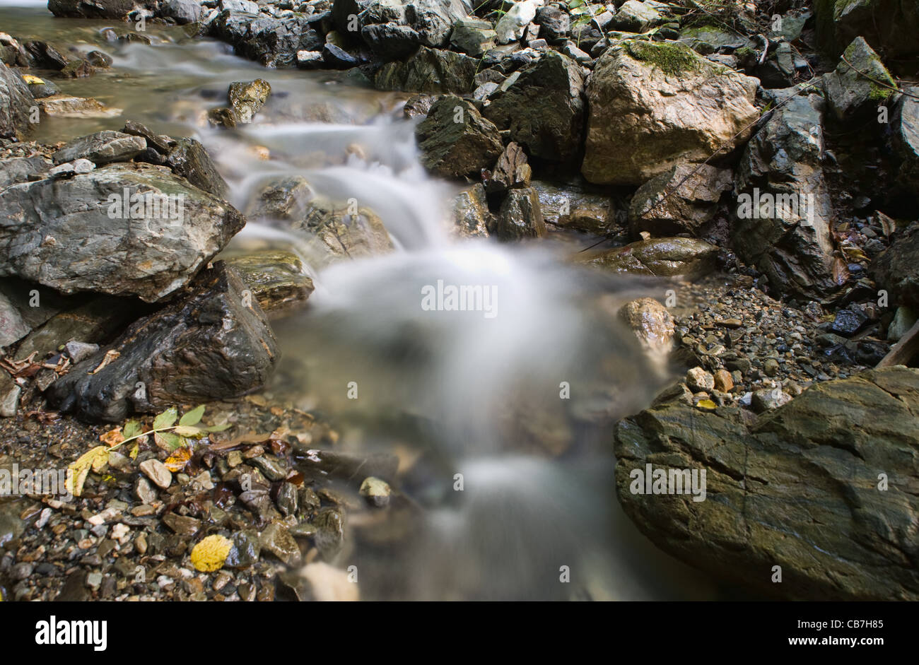 autumn, beautiful, cascade, clean, creek, environment, fall, flowing, foliage, forest, landscape ...