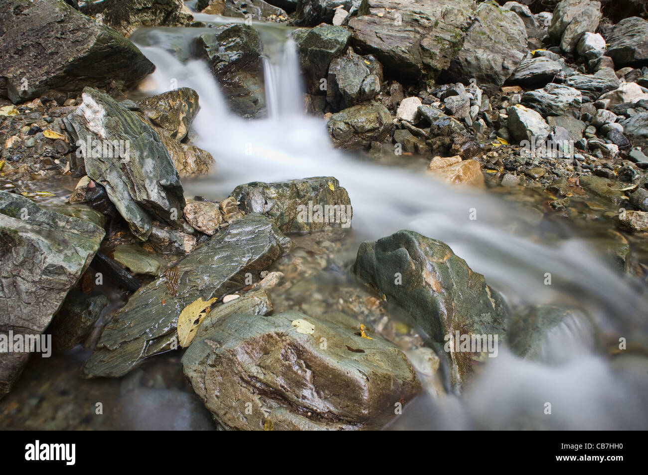 autumn, beautiful, cascade, clean, creek, environment, fall, flowing ...
