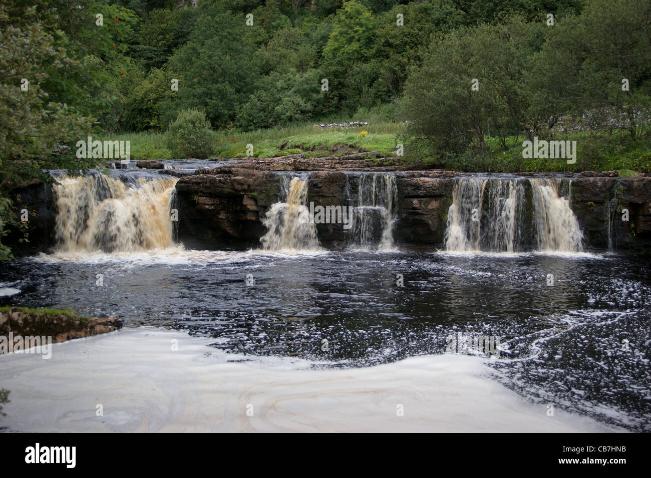 Catrake force waterfall river swale hi-res stock photography and images ...