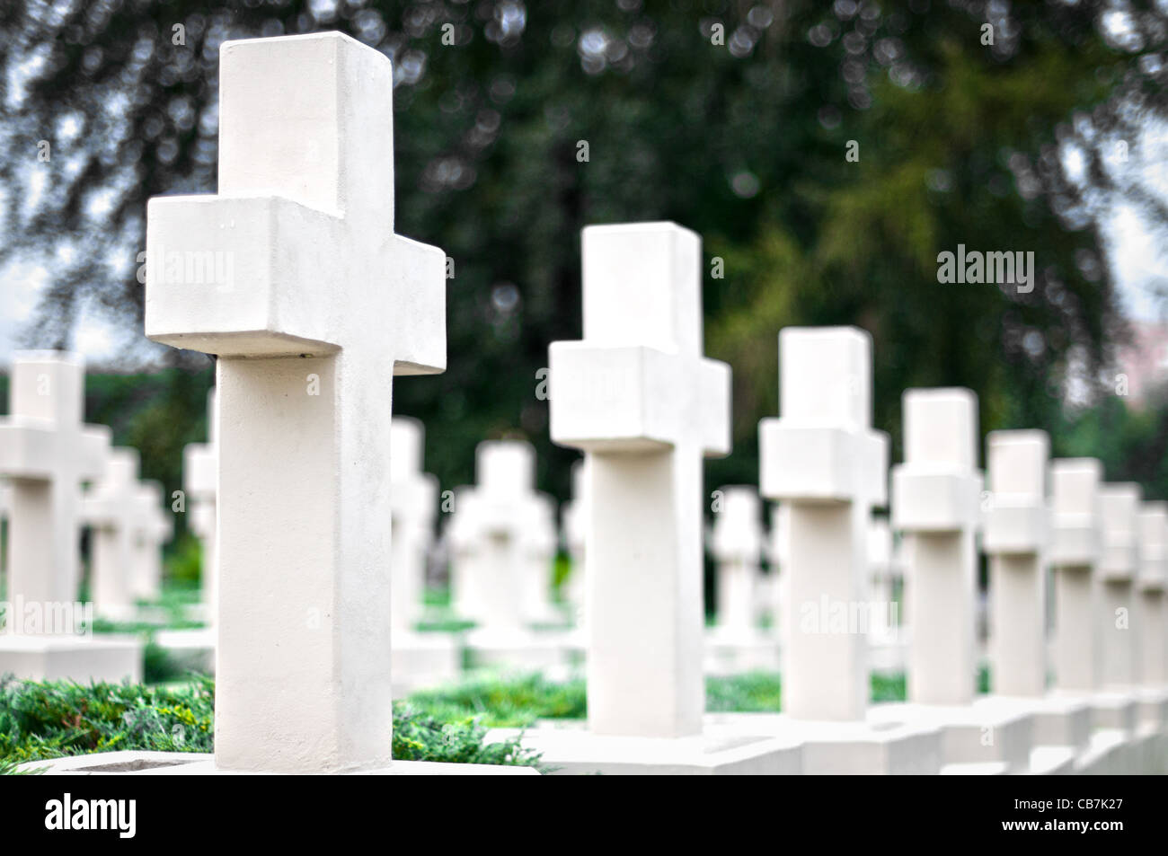 white crosses on the graves of warriors at Lviv cemetery, Ukraine Stock ...