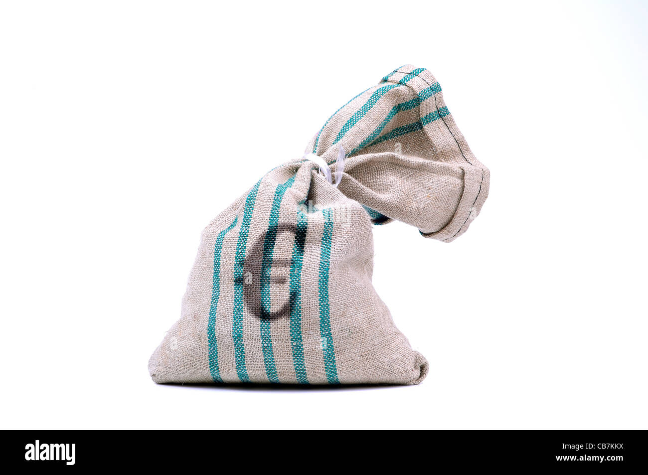 money bag with the Euro currency symbol isolated on a white background ...
