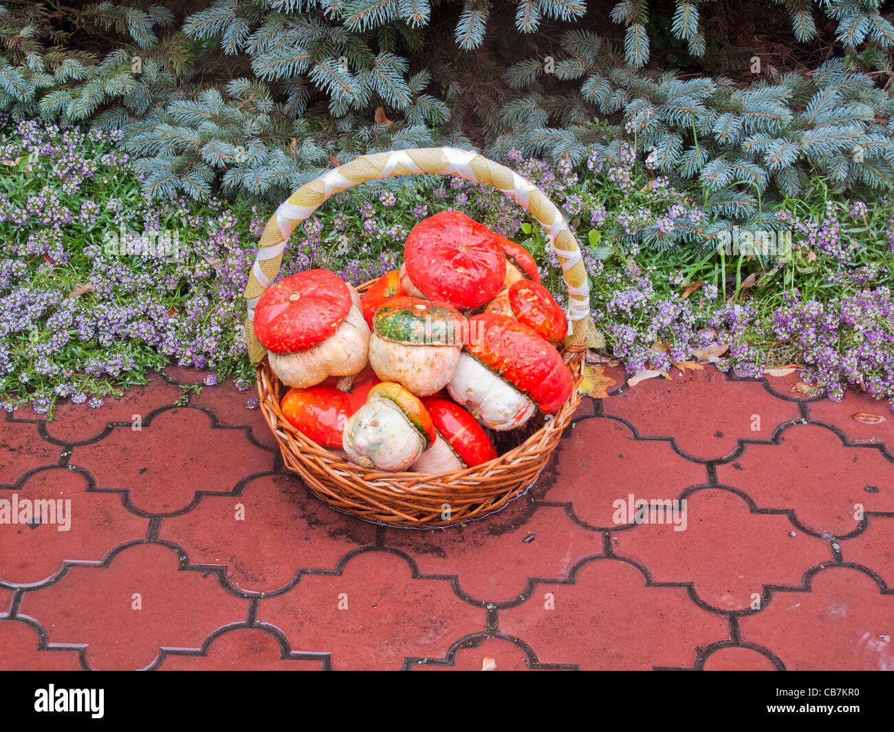 Church offering basket hi-res stock photography and images - Alamy
