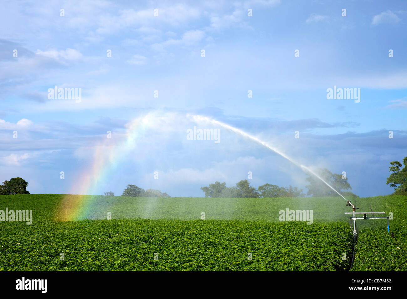 Rainbow water spray hi-res stock photography and images - Alamy